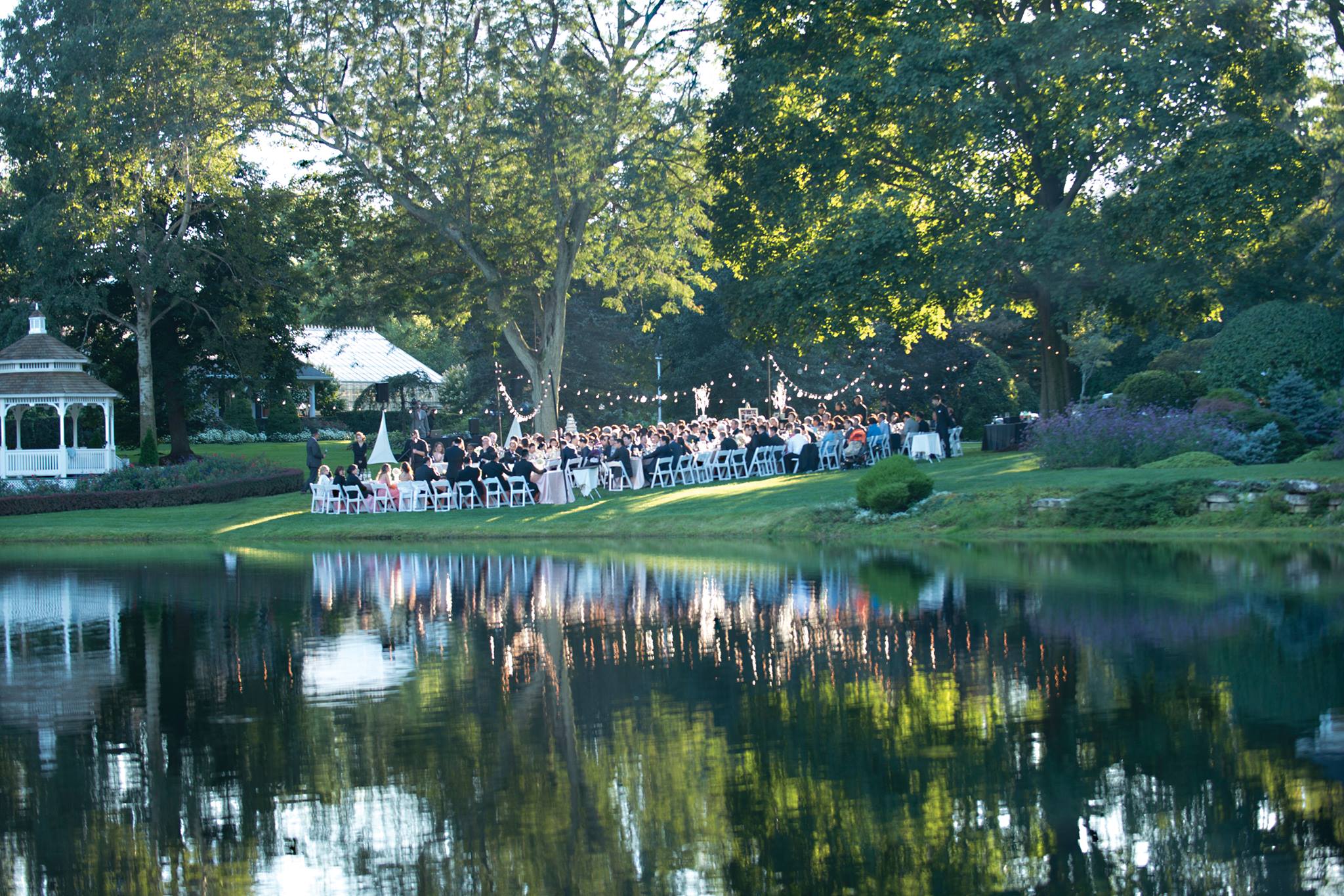 Wandering Tree Estate - Superola