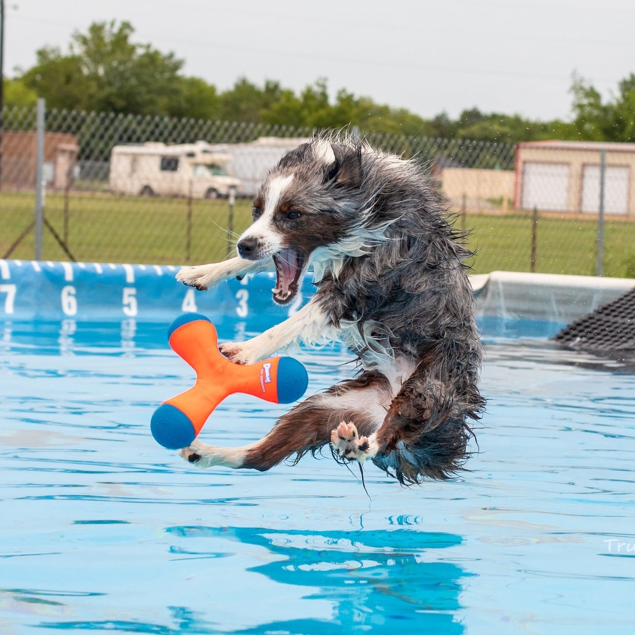 True Colors Photography - Superola