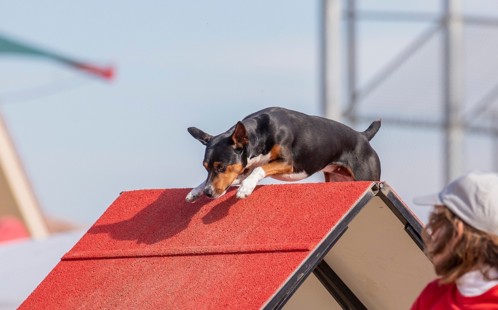 True Colors Photography - Superola