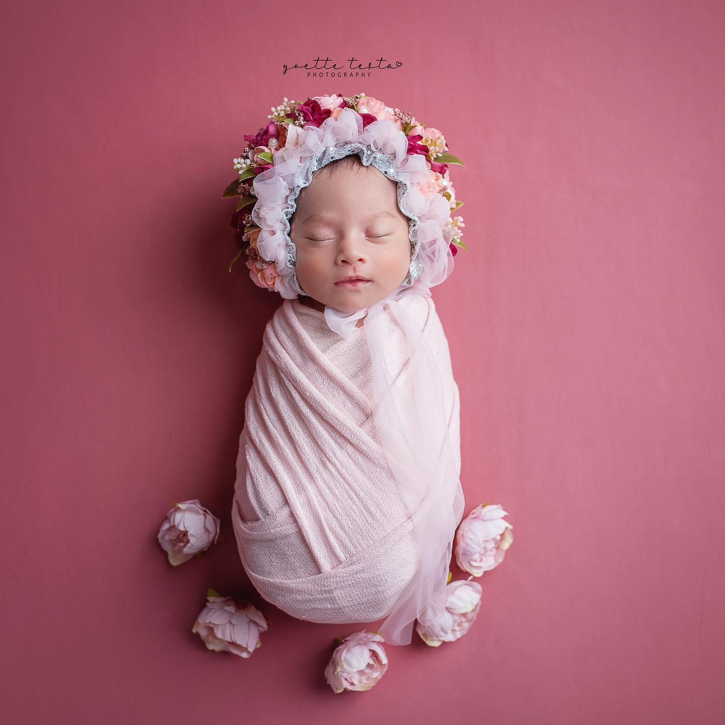 Yvette Testa Photography - Superola