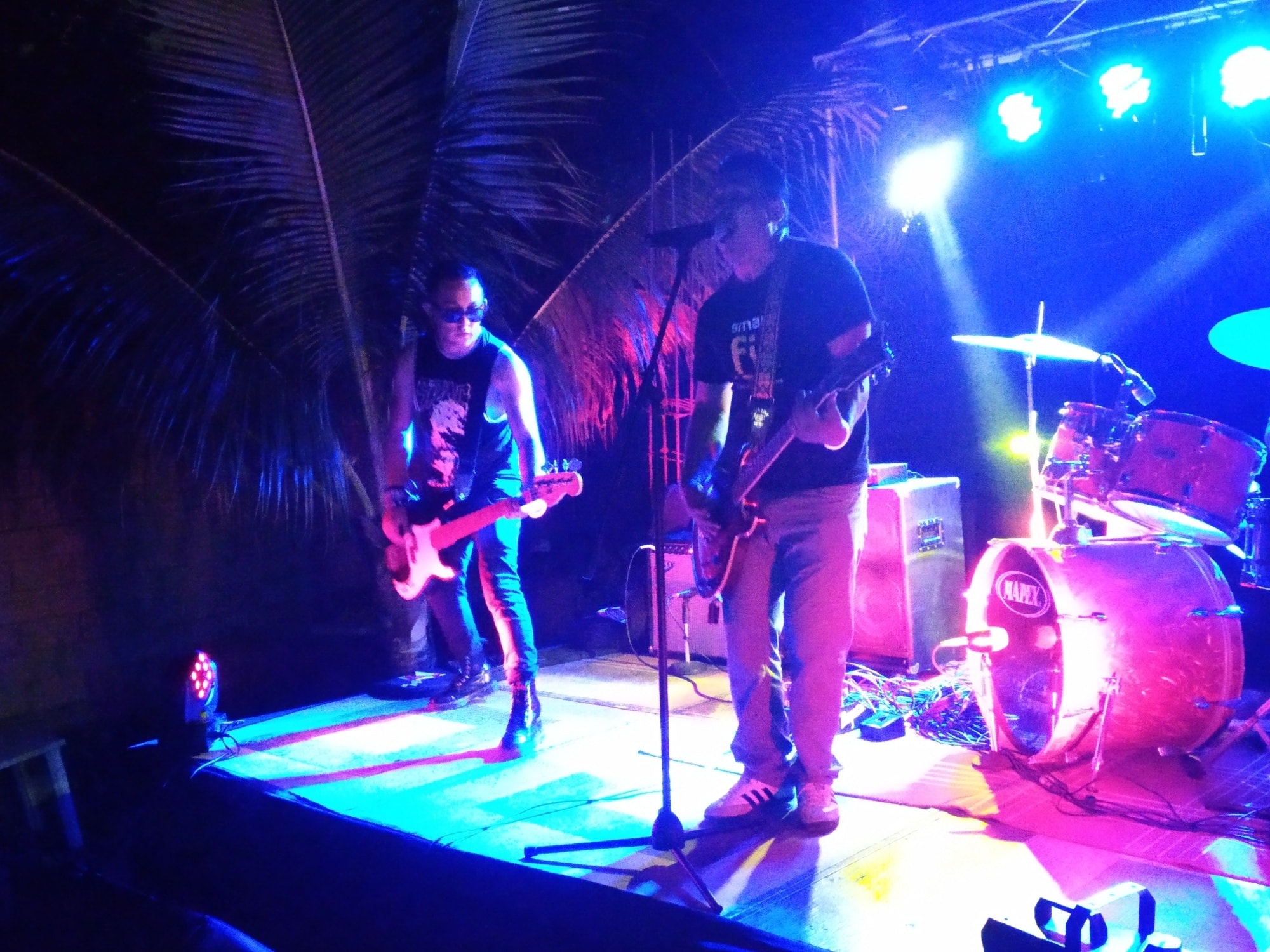 Hazel rock - Superola