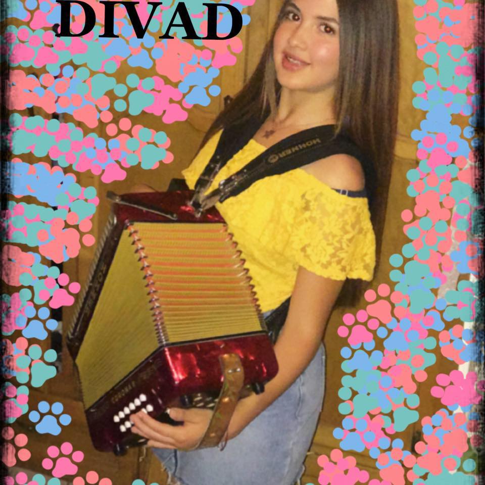 Irany Divad - Superola