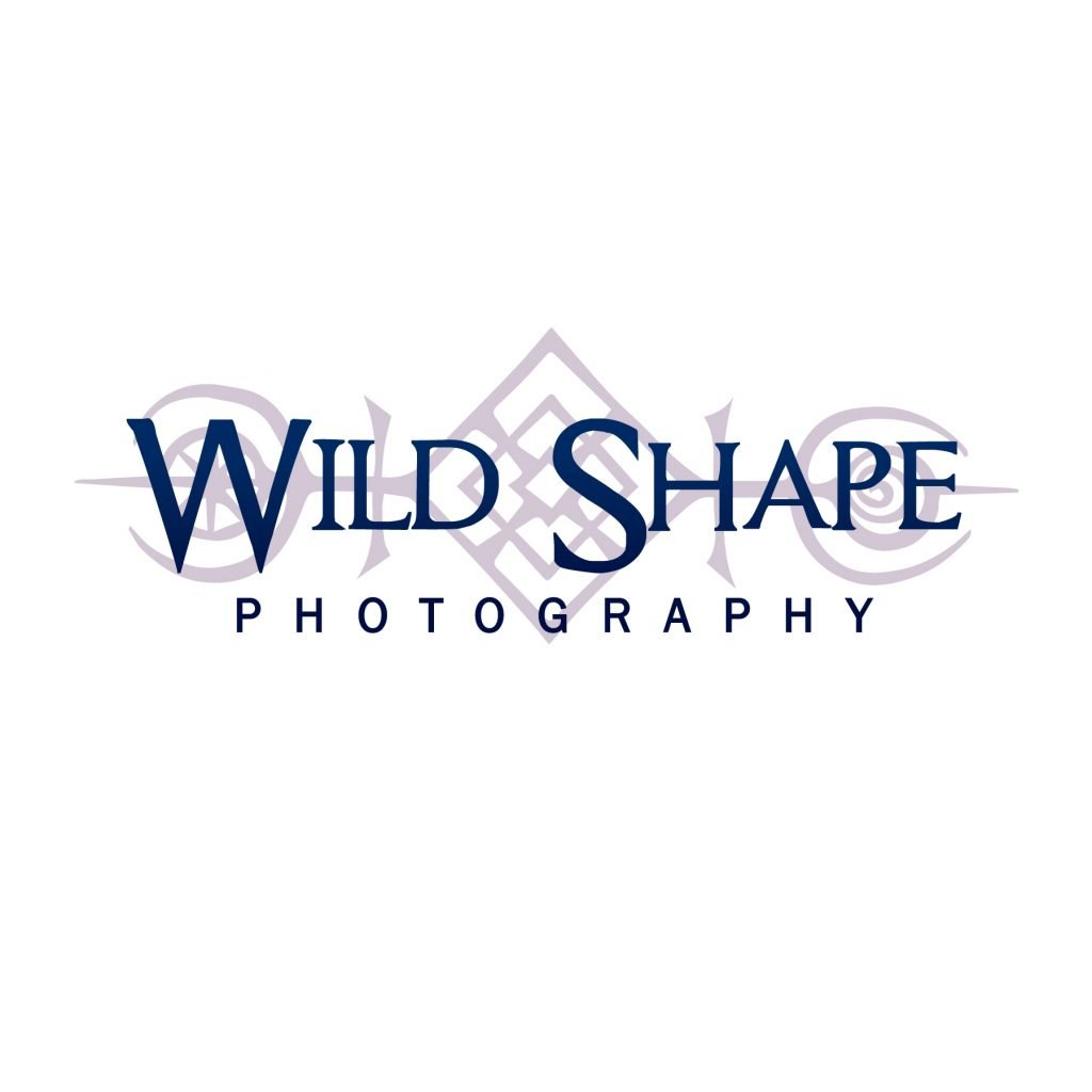 Wild Shape Photography - Superola
