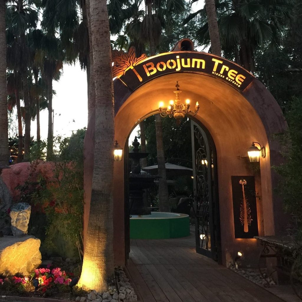 Boojum Tree - Superola