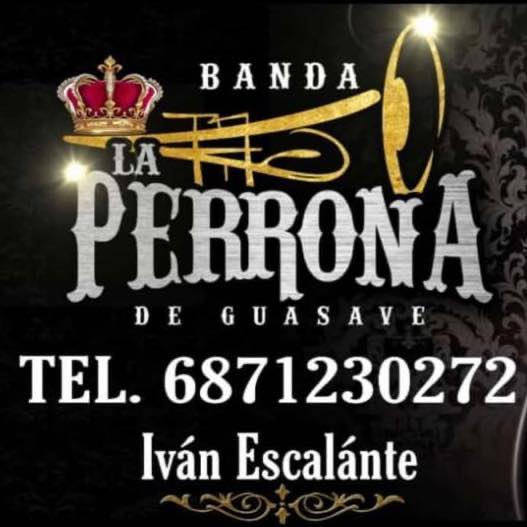 Banda La Perrona De Gve. - Superola