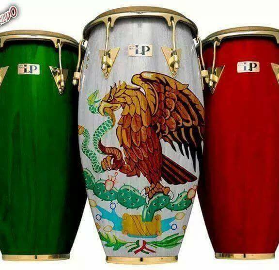 especialistas de la costa - Superola