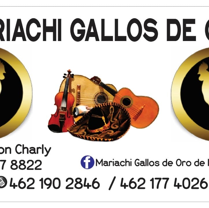 Mariachi Gallos De Oro De Irapuato - Superola