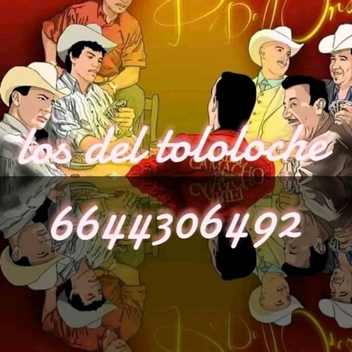 Grupo los del tololoche - Superola
