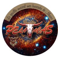 Banda Pelavacas La Gavilla (Banda Pelavacas) - Superola